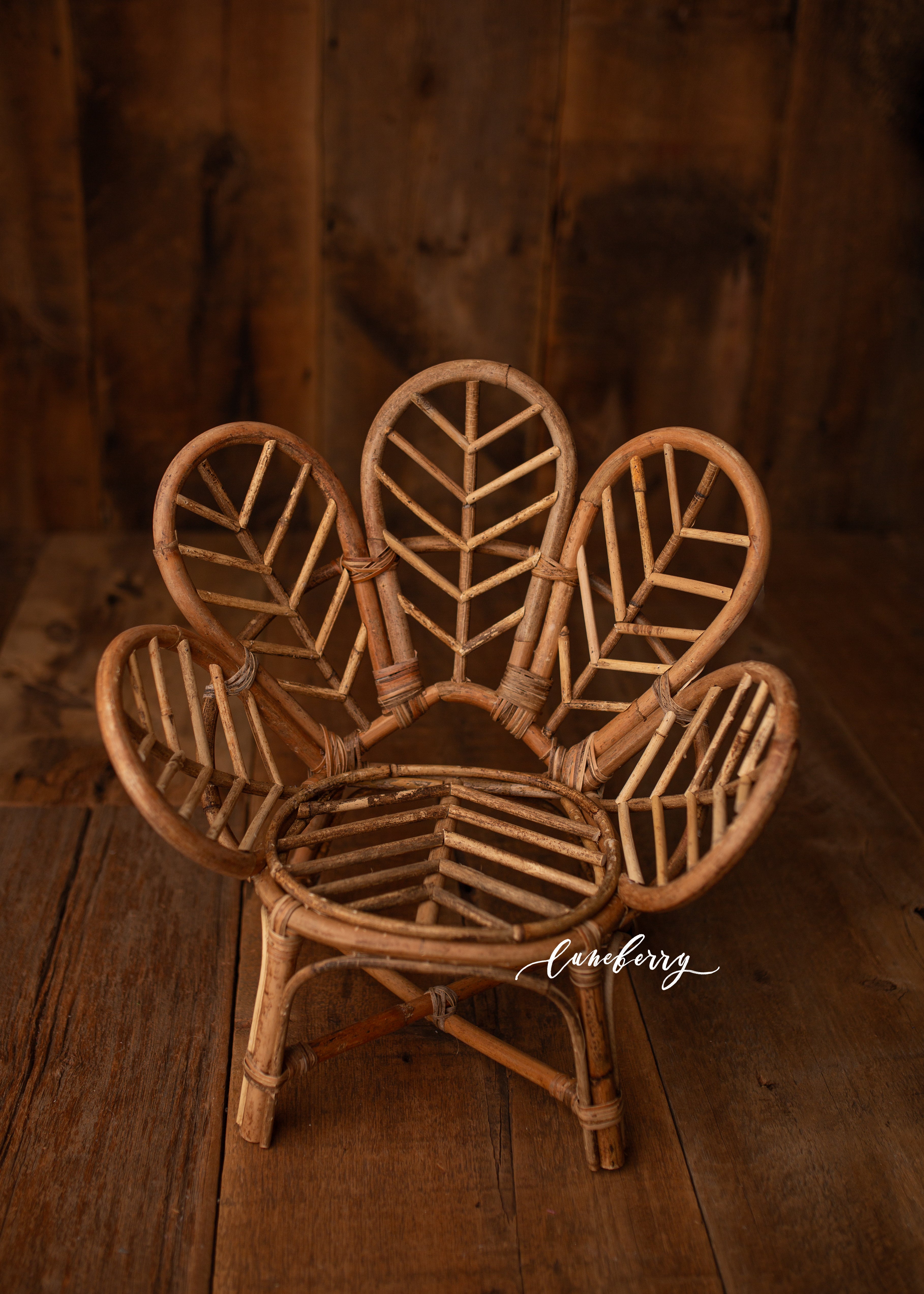 Daisy Chair – Luneberry, LLC