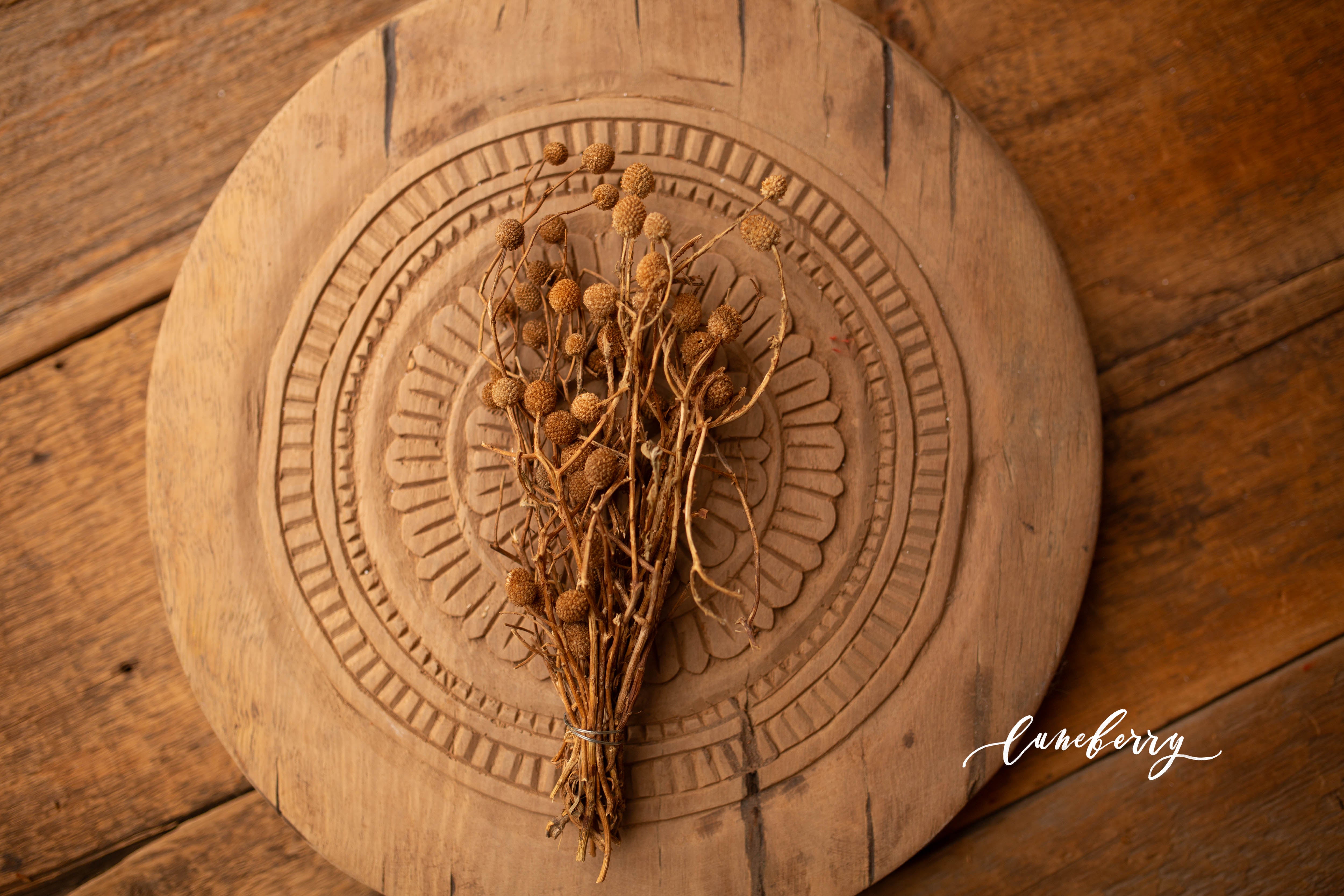 Dried Bora Bunch – Luneberry, LLC