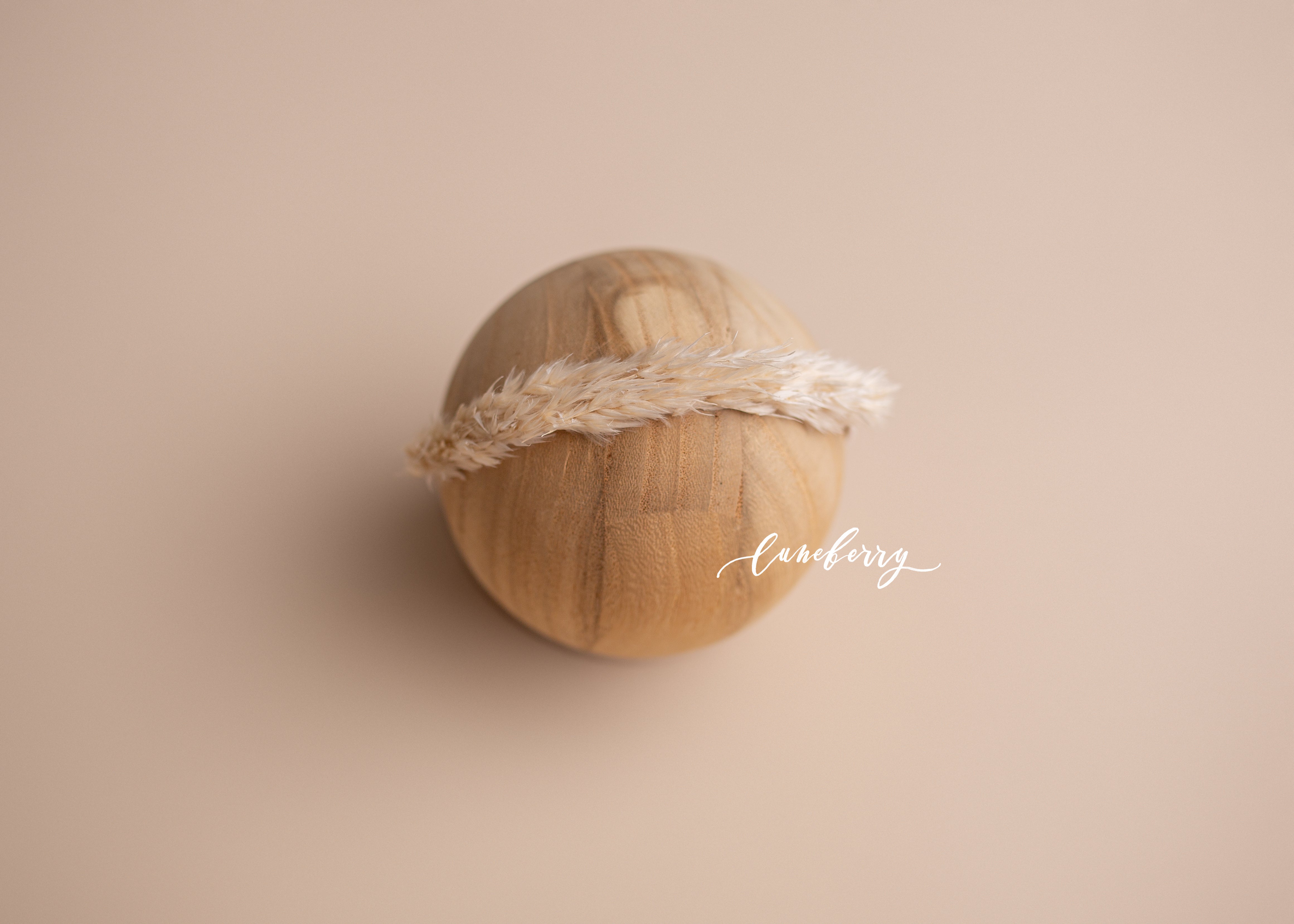 FROTH Dried floral crown - NN Seamless – Luneberry, LLC