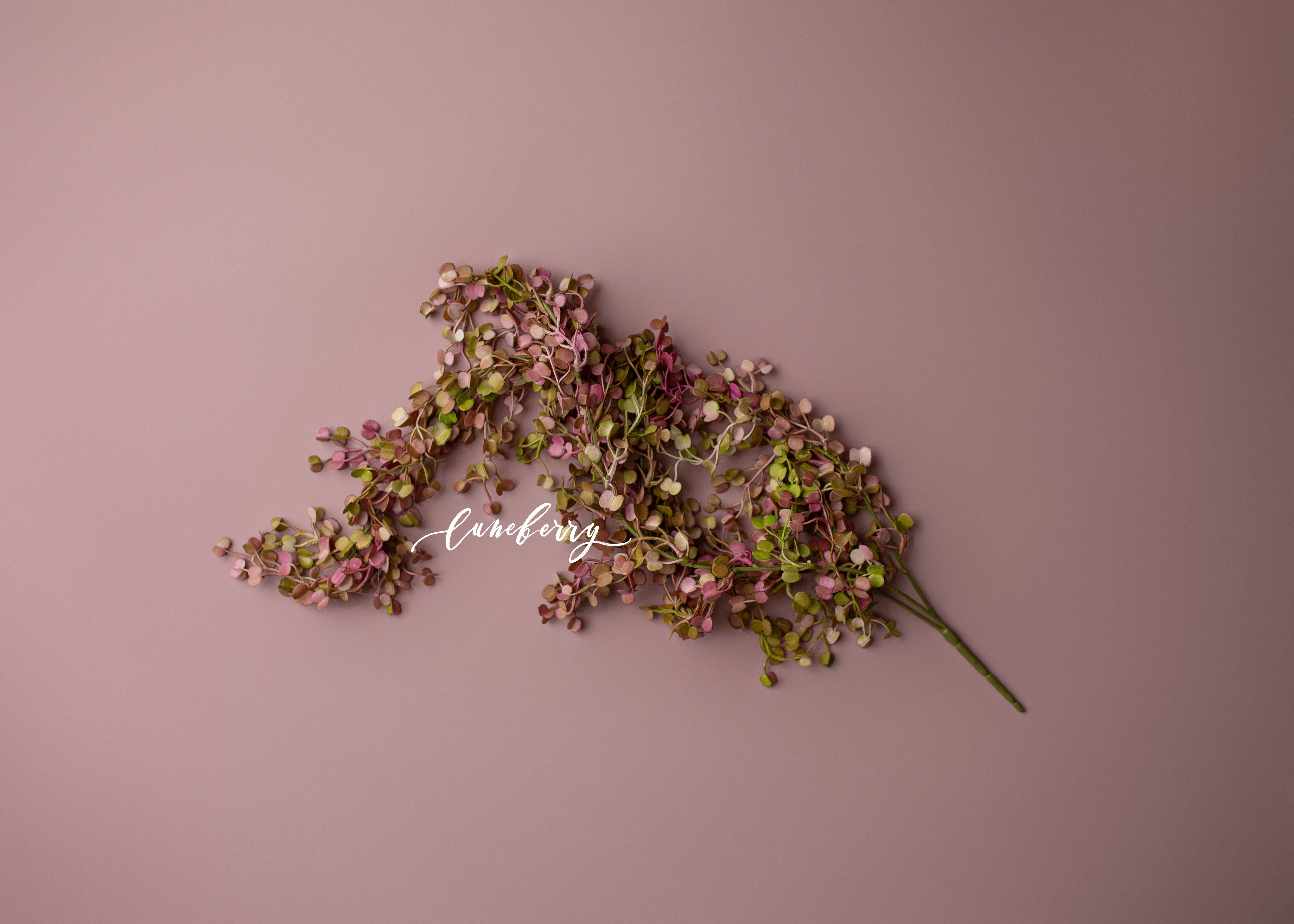 MAE BERRY floral stem - NN Seamless – Luneberry, LLC