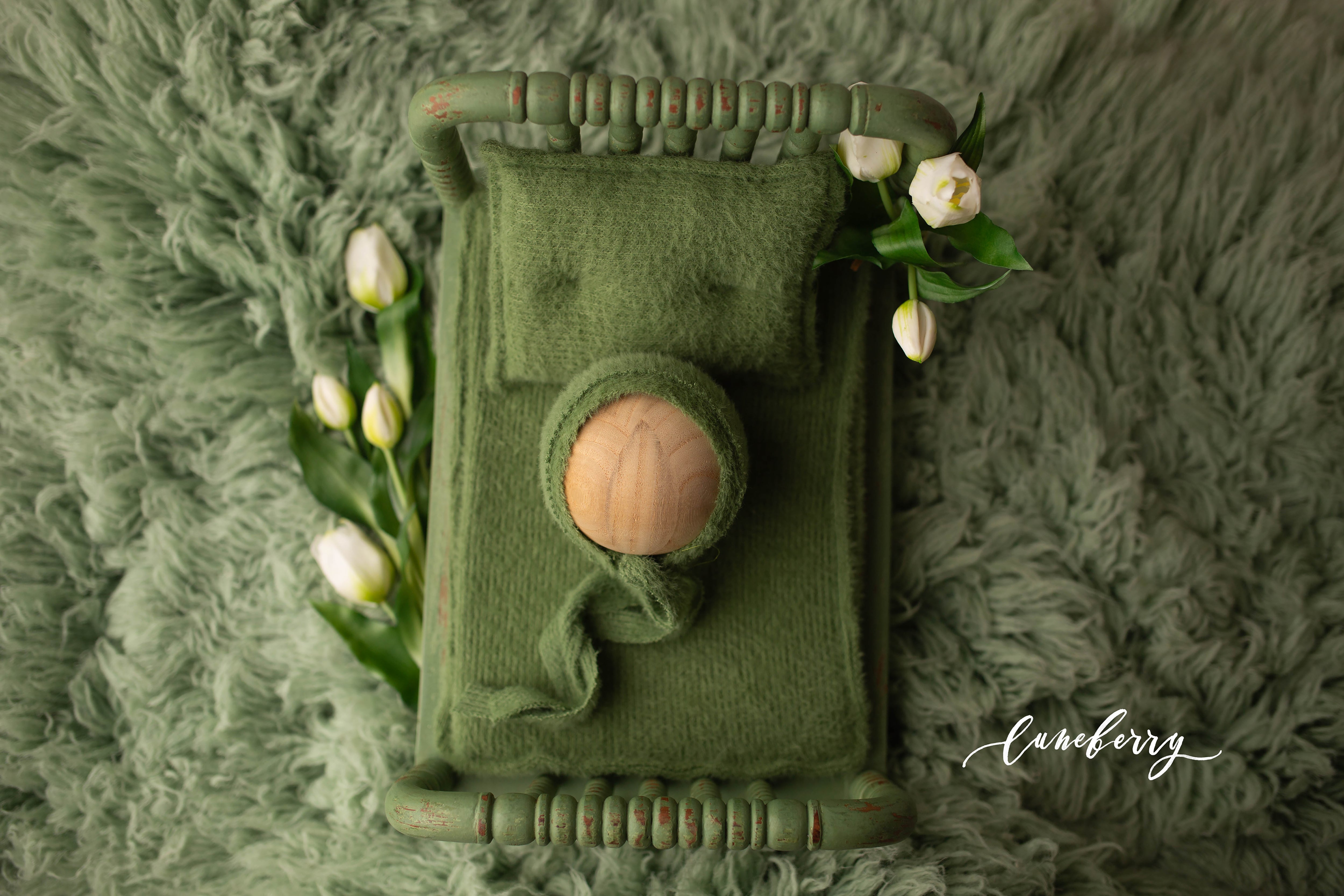 SAGE Deluxe Styled Set 1 – Luneberry, LLC