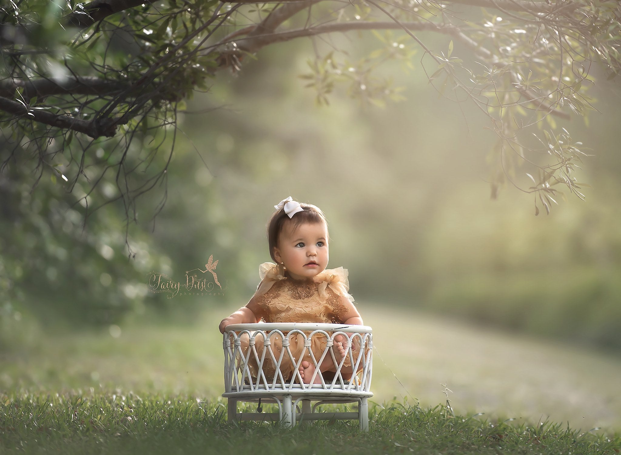 Bamboo Props – Page 3 – Luneberry, LLC