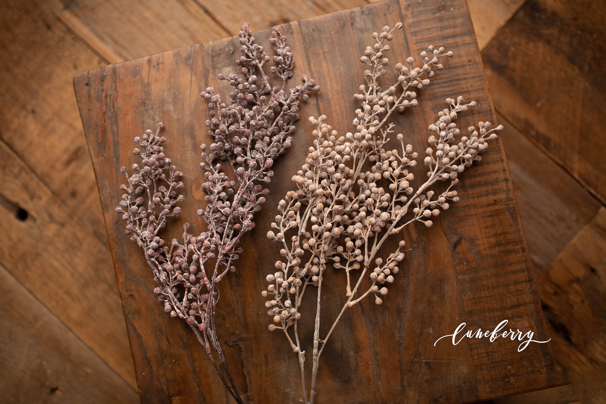 Dried wild berry spray – Luneberry, LLC