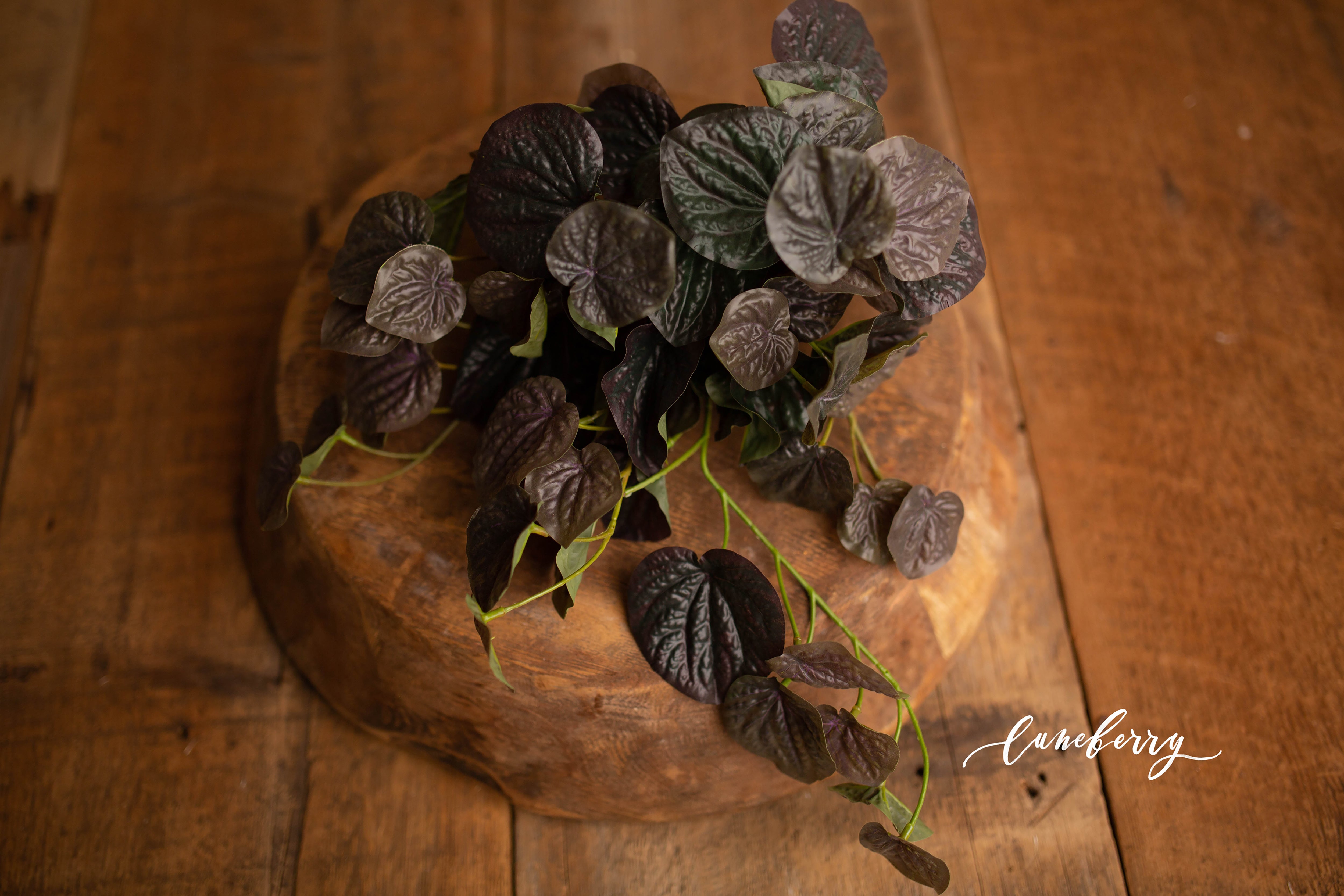 Eggplant Leaf Bunch – Luneberry, LLC