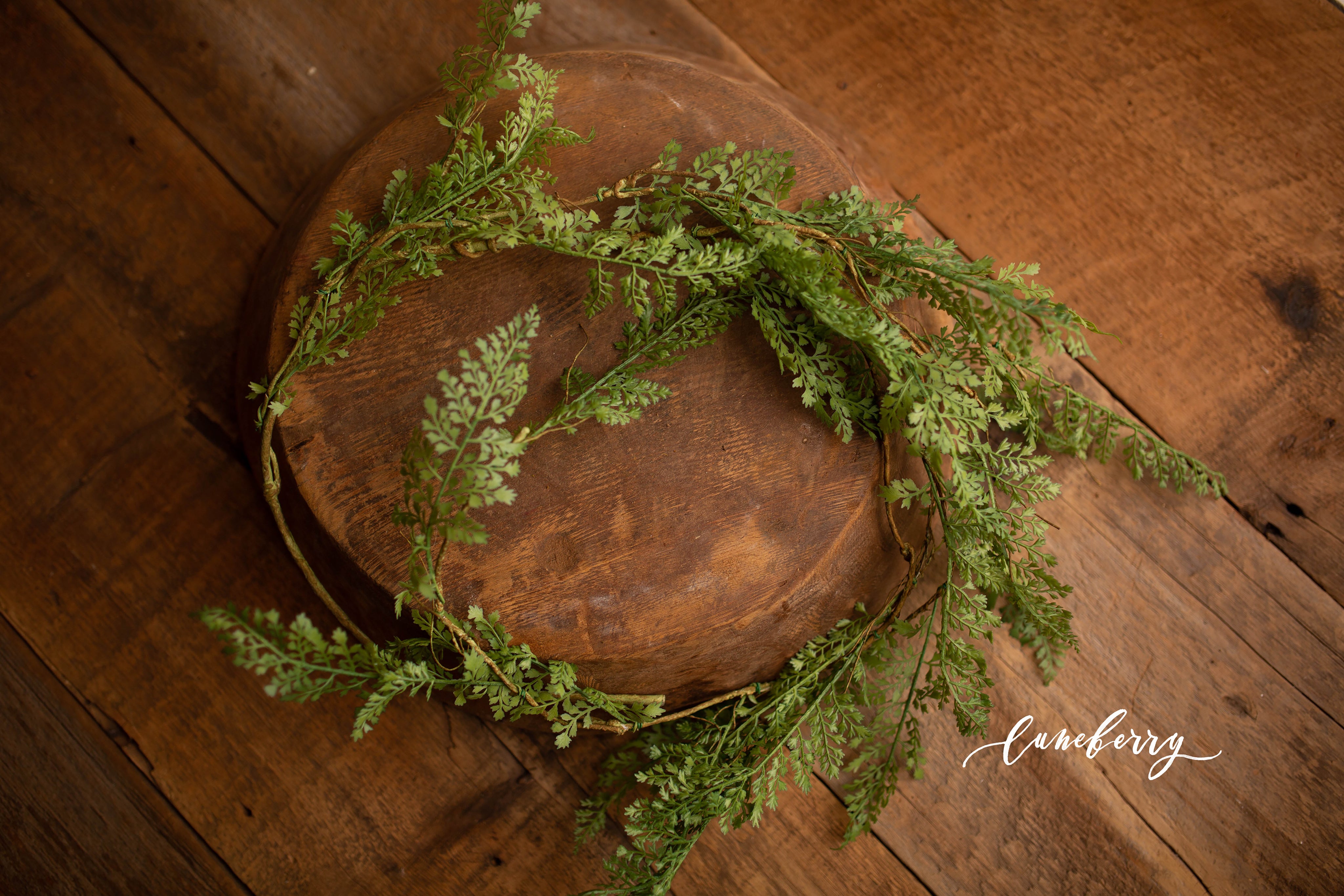 Fern Garland – Luneberry, LLC