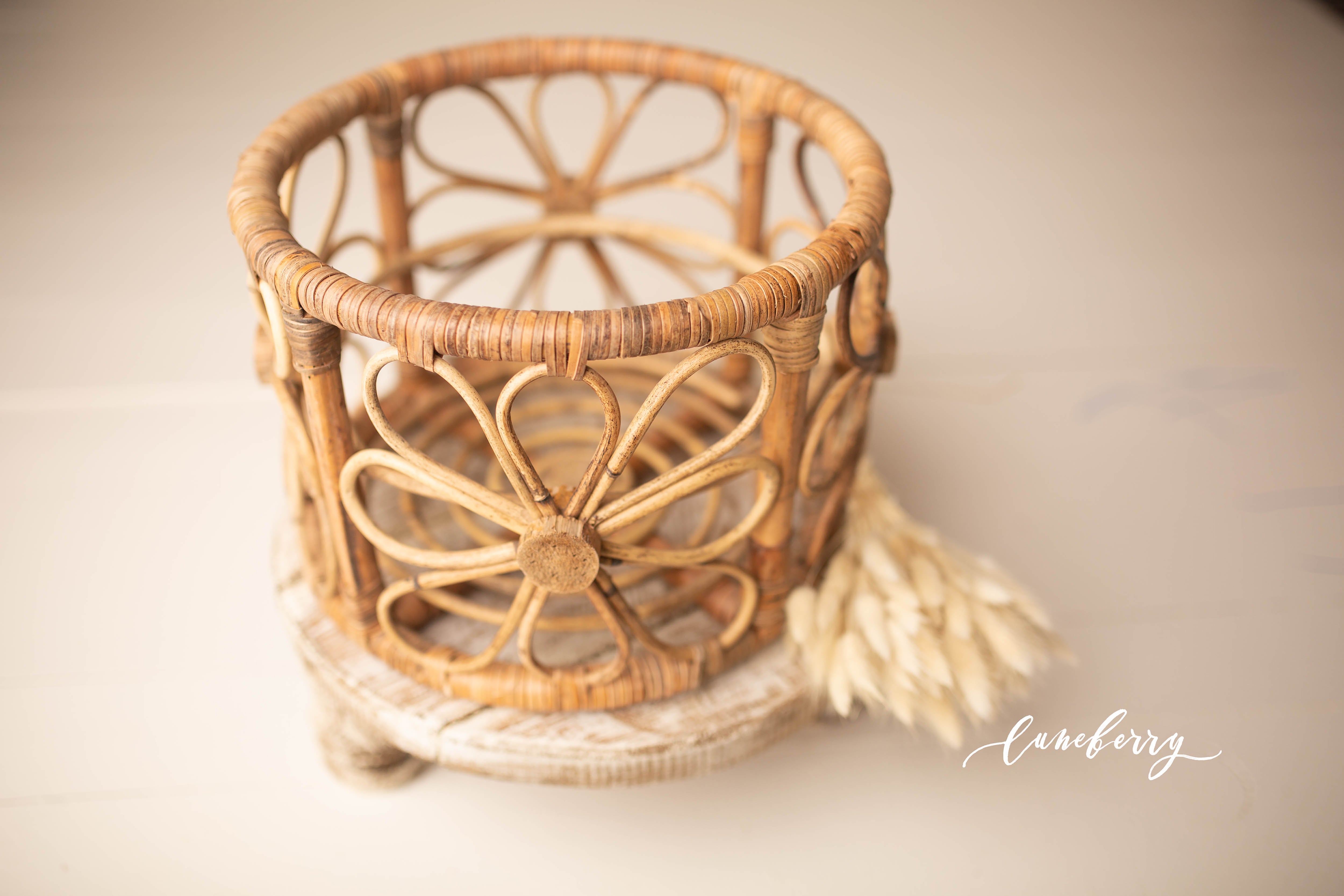 Bamboo Props – Page 3 – Luneberry, LLC