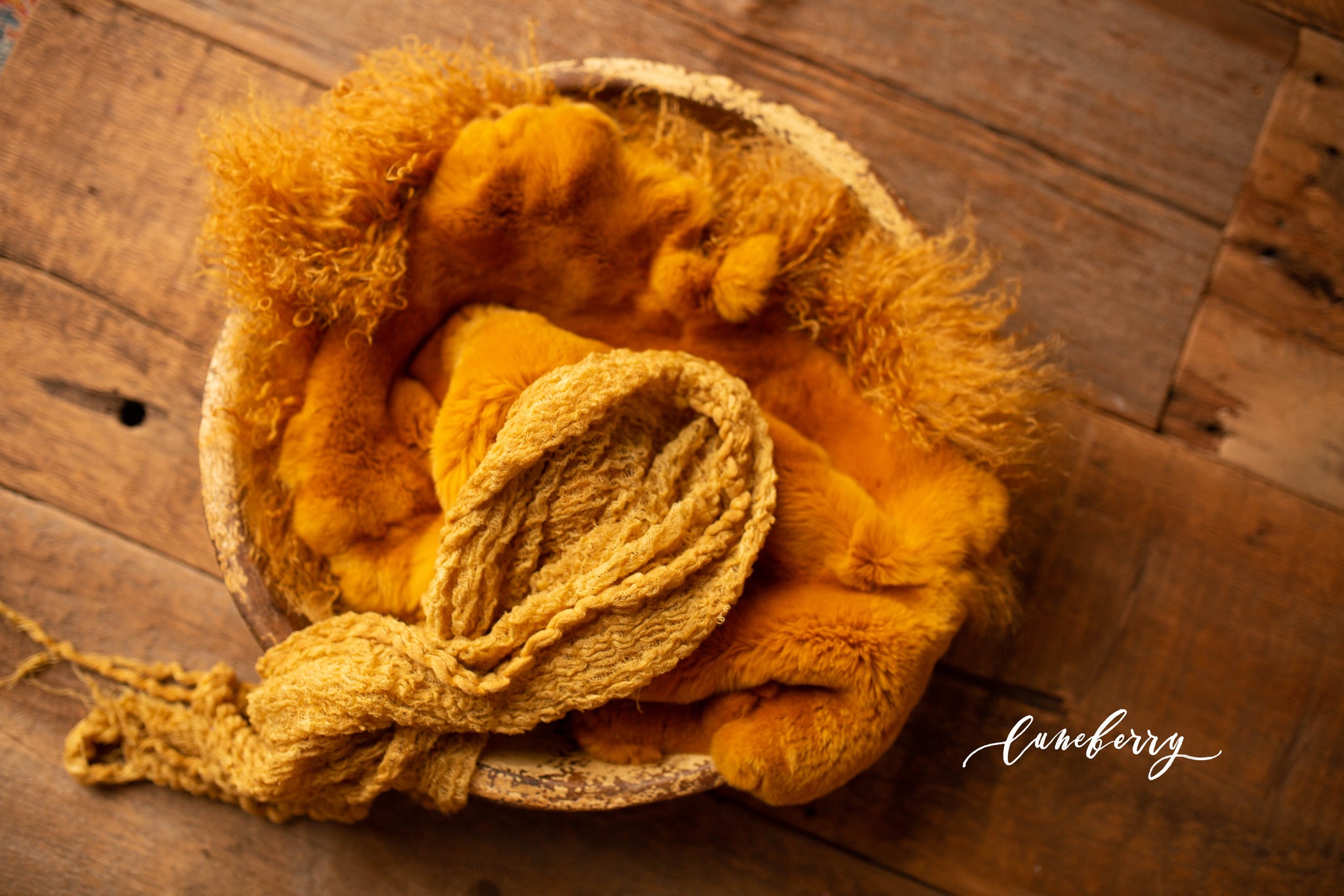 Extra Cheesy Cheesecloths – Luneberry, LLC